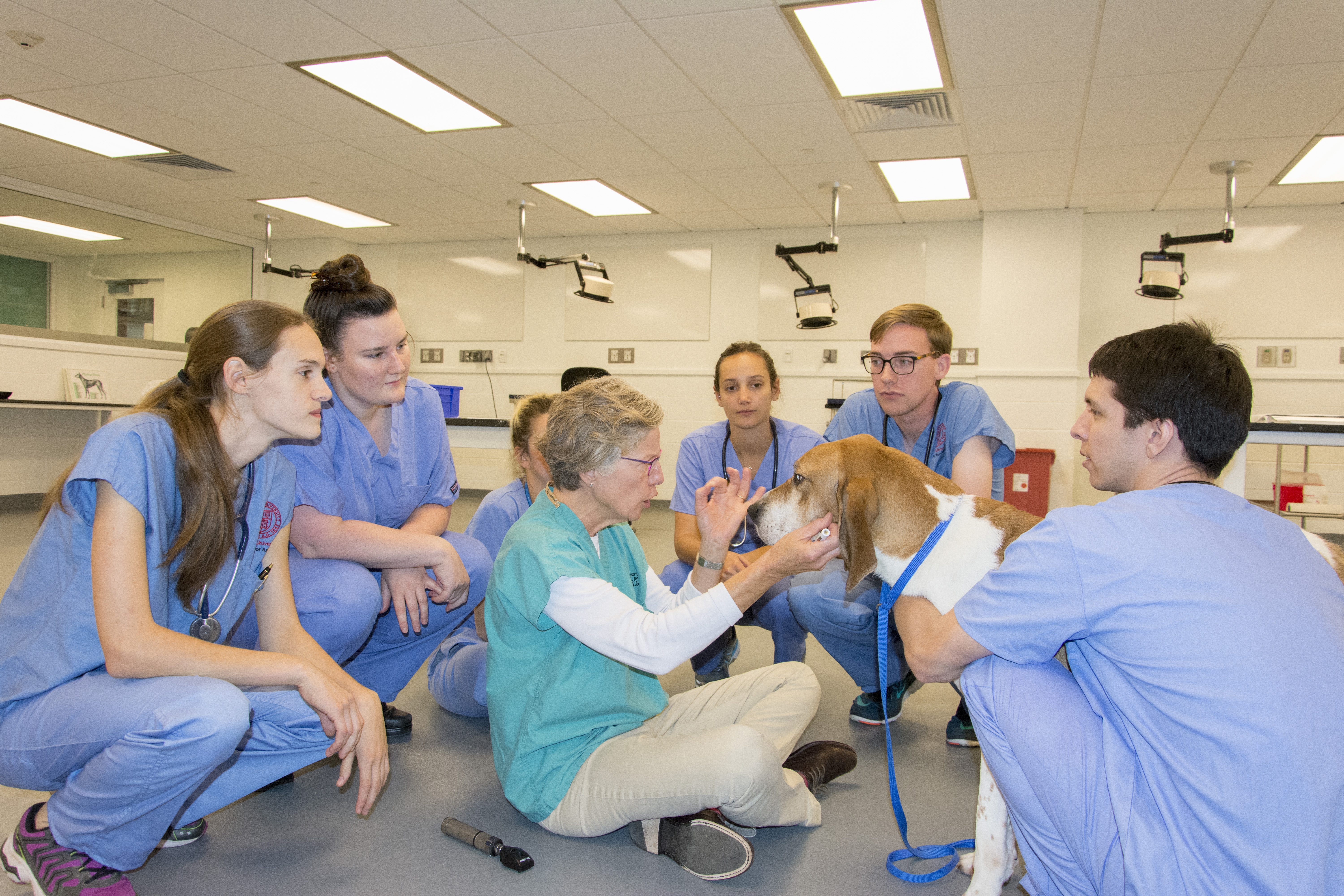 Cornell Selected To Lead Multi institutional Applied Learning